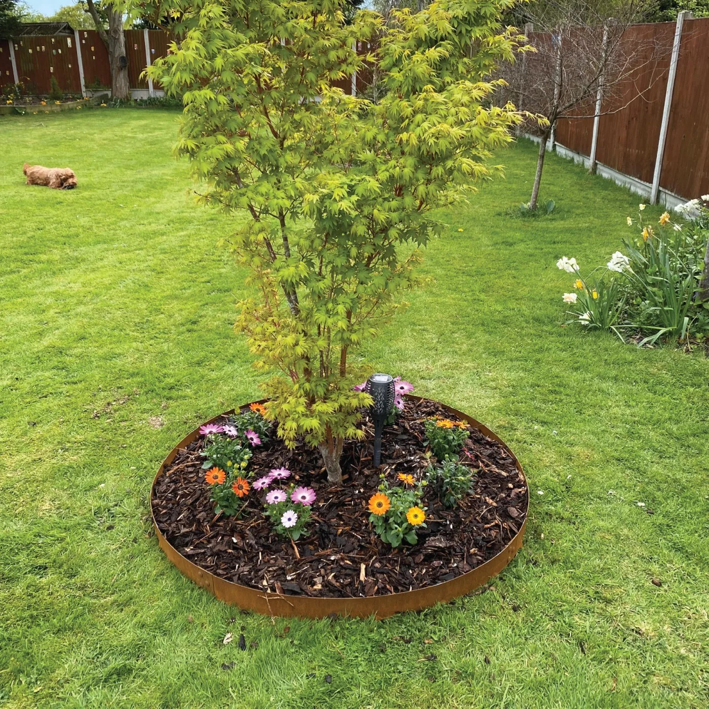 Circular Pre Rust Corten Steel Garden Lawn Edging 160mm x ⌀ 600mm 2pcs