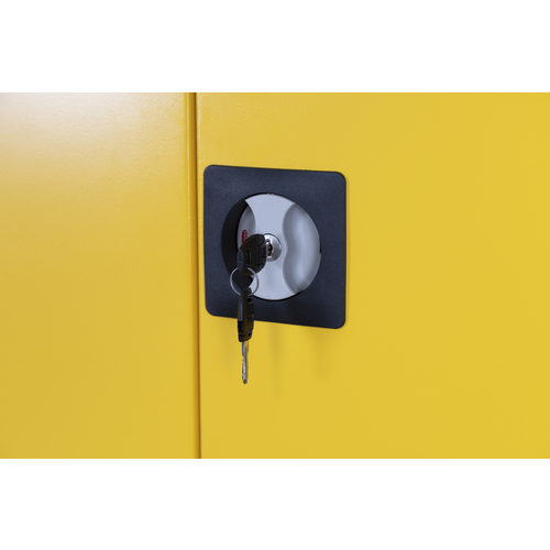 Armorgard SafeStor Hazardous Substance Cabinet
