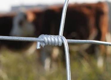 Hinge Joint Fencing L5.60.15 50YRDS