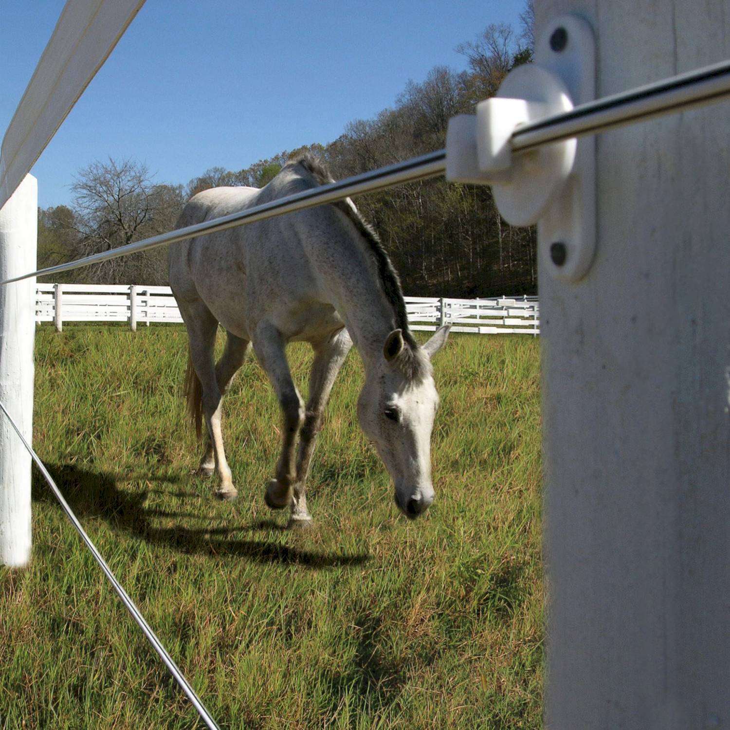 Centaur White Lightening Equiwire 402MTR