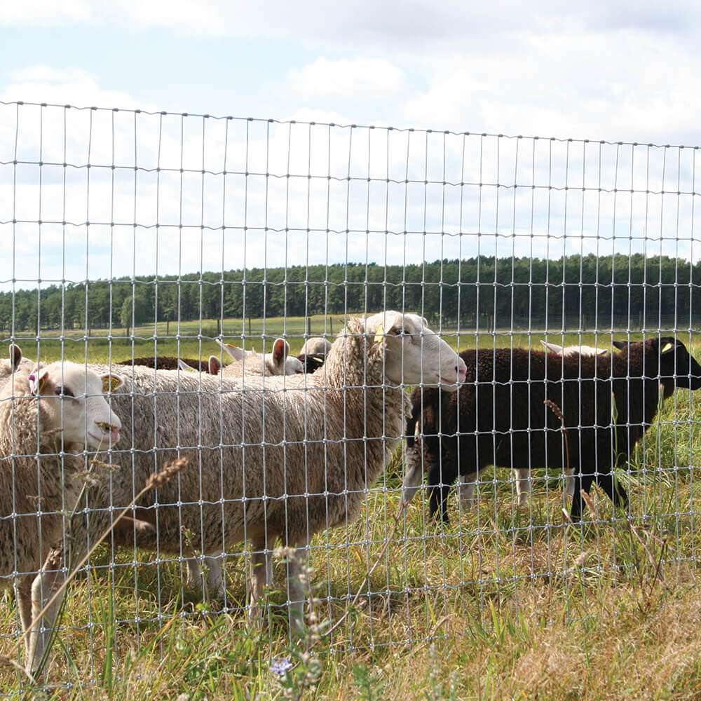 Stiff Knot Tension Mesh Fencing 18/183/5 100MTR